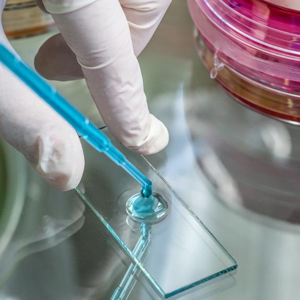 services-laboratory-legionella - Global Water Technology, Inc